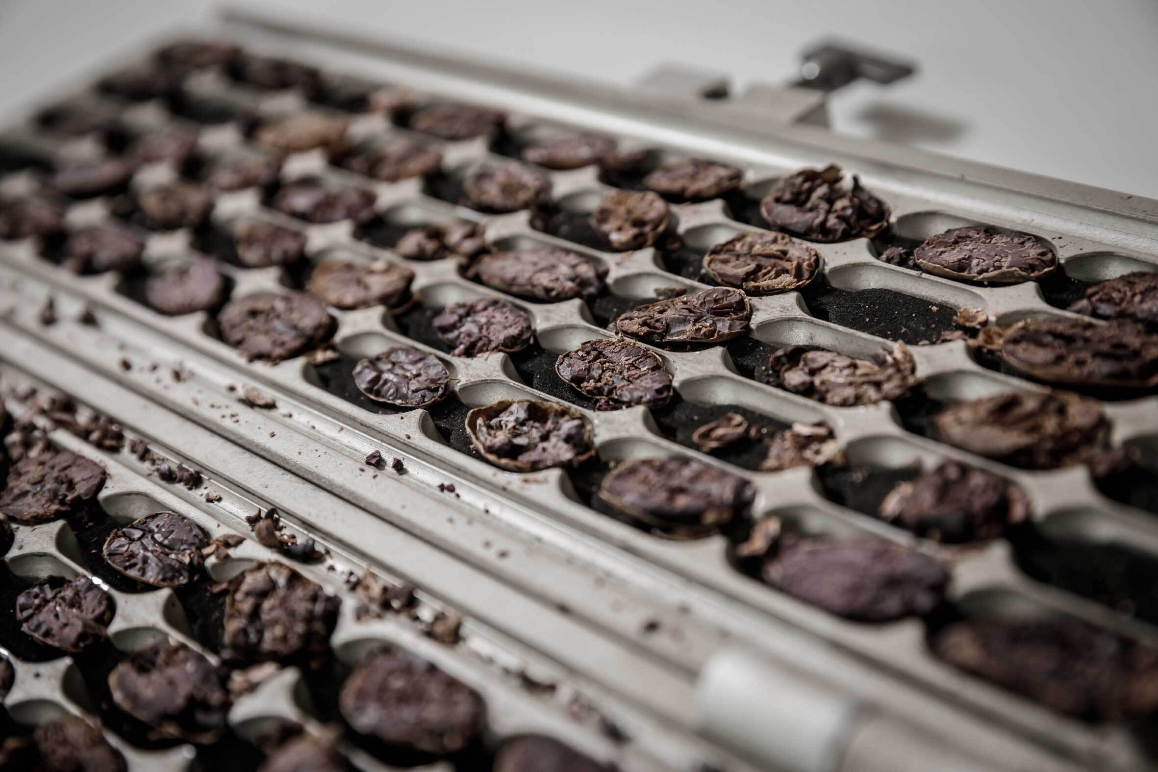 Sensory | Felchlin Switzerland (EN)